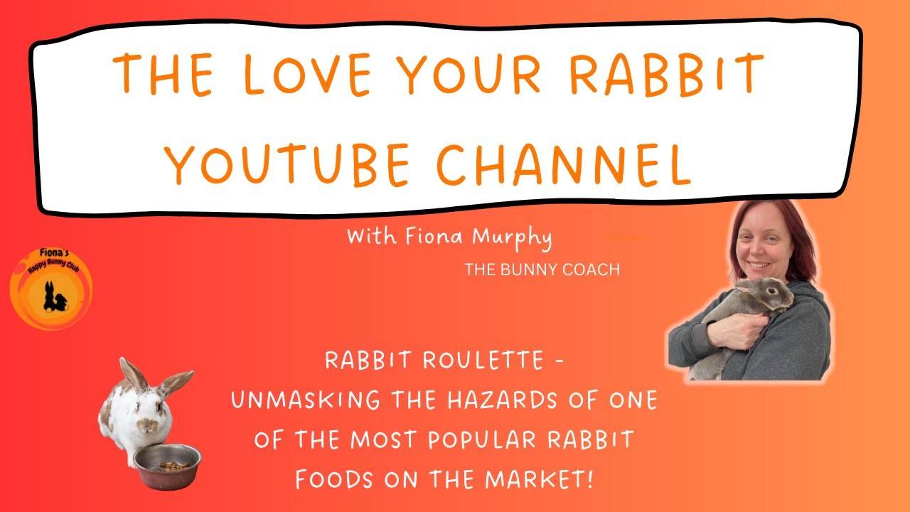 RABBIT ROULETTE - UNMASKING THE HAZARDS OF ONE OF THE MOST POPULAR ...