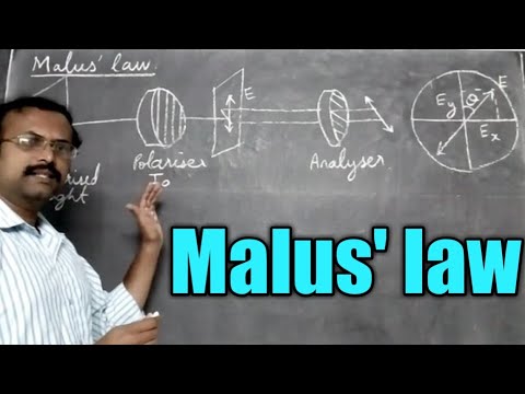 10. Malus' law - YouTube