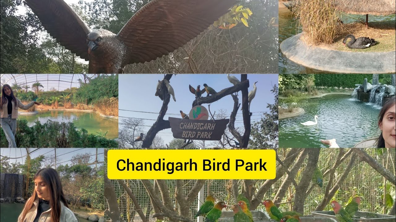Bird park chandigarh | part-2 Famous place in chandigarh - YouTube