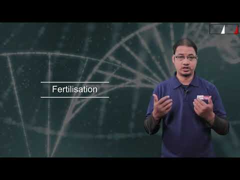 6. Fertilization Process | Class 8 | Chapter 9 - YouTube