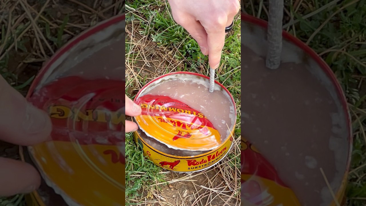 Monke Team Reviews Ep. 1 (feat. Spoonkid, Steve TV and Dinkbot) # ...