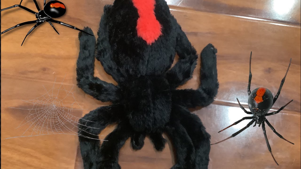 Wildrepublic redback spider plush review - YouTube