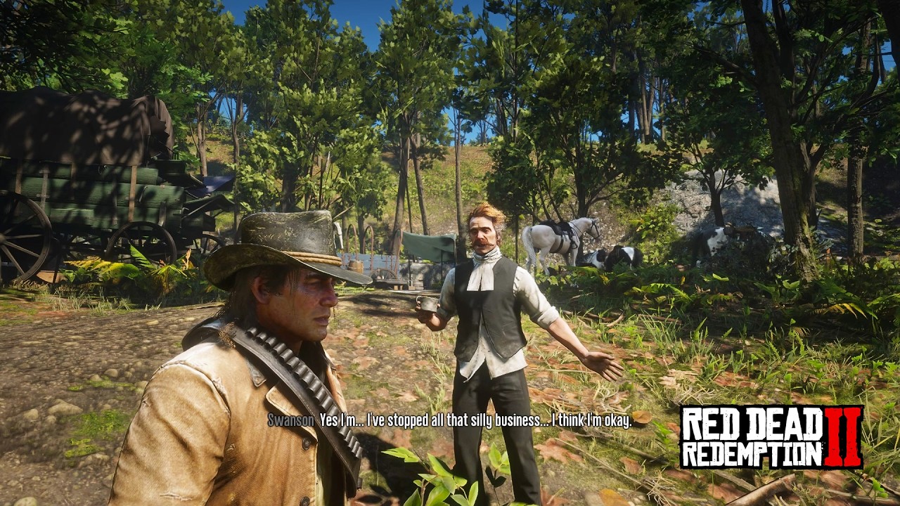Reverend Swanson Tells Arthur He Has Stopped Taking Morphine | RDR2 ...