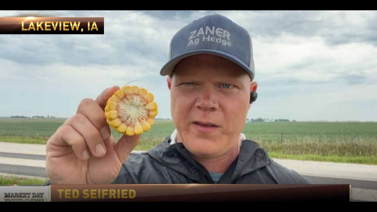 Ted Seifried From The Ground In Iowa For The Pro Farmer Crop Tour |RFD ...