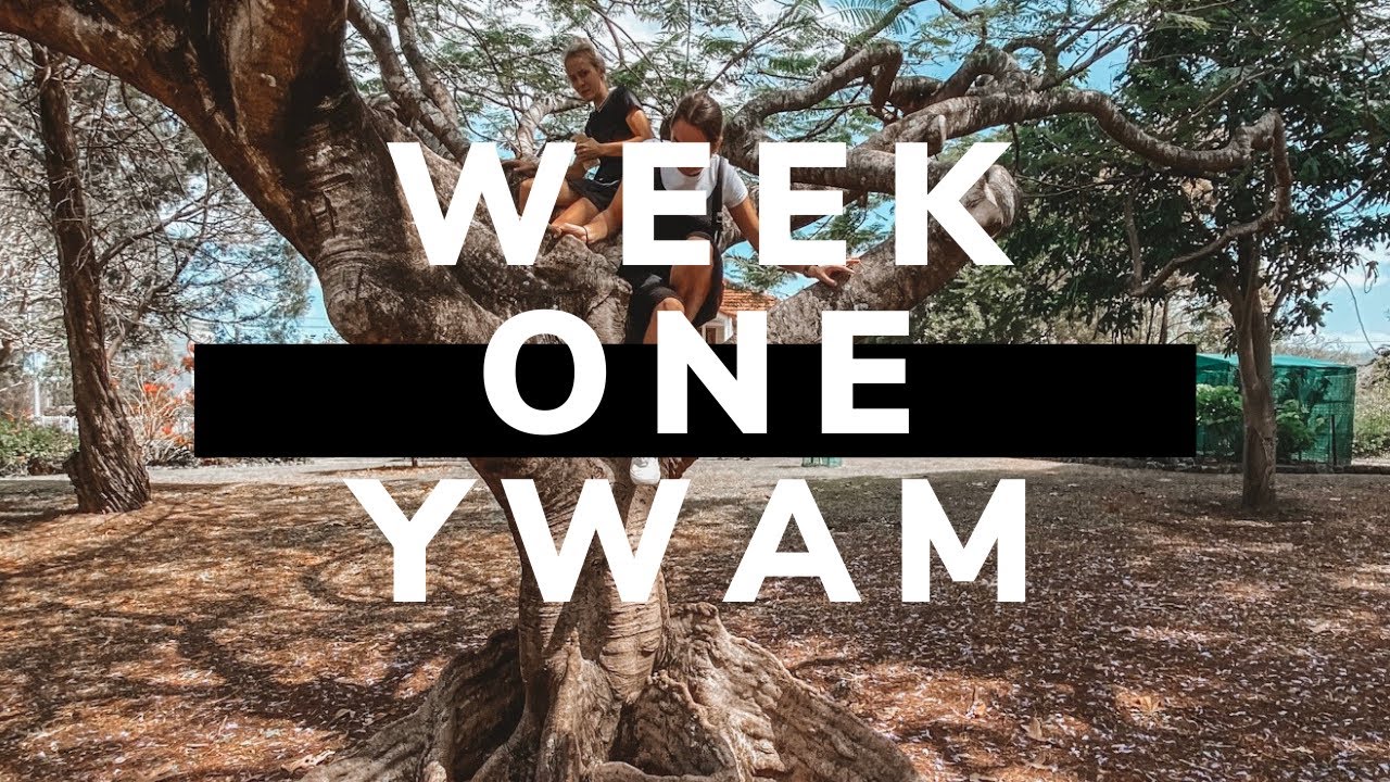 YWAM Brisbane | WEEK ONE | MAD DTS 2019 - YouTube