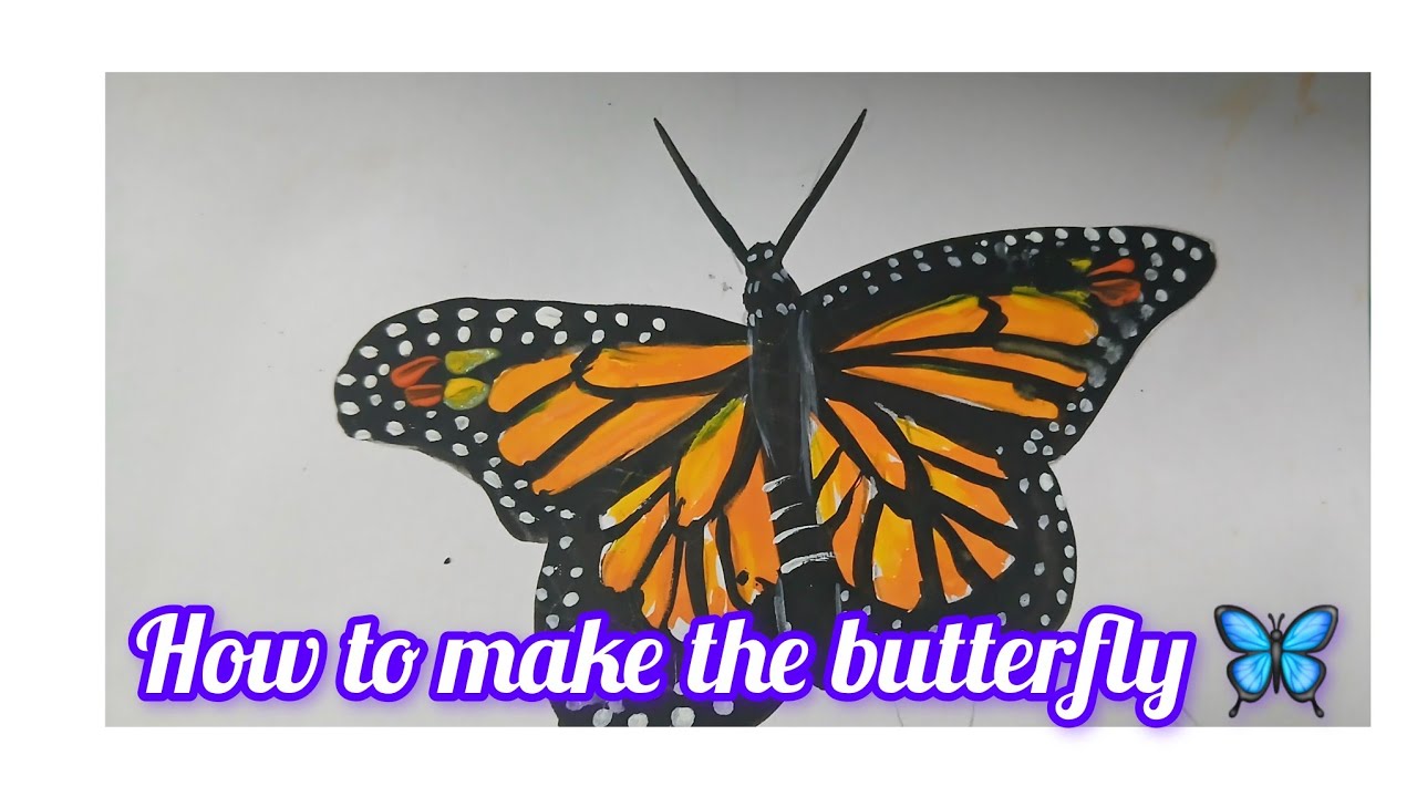 How to Draw Butterfly Easy | Orange butterfly drawing and coloring🦋 ...