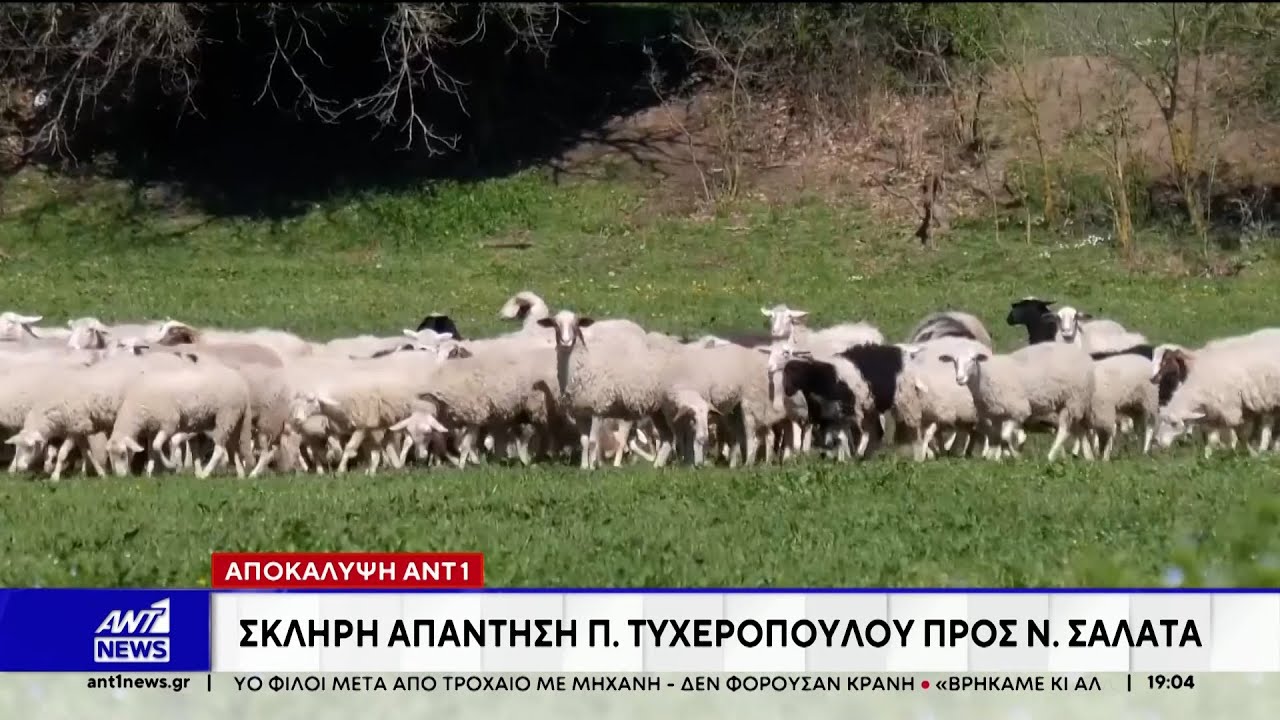 ΟΠΕΚΕΠΕ – Αποκάλυψη ΑΝΤ1: Η αποκάλυψη του Νίκου Σαλάτα για την ...