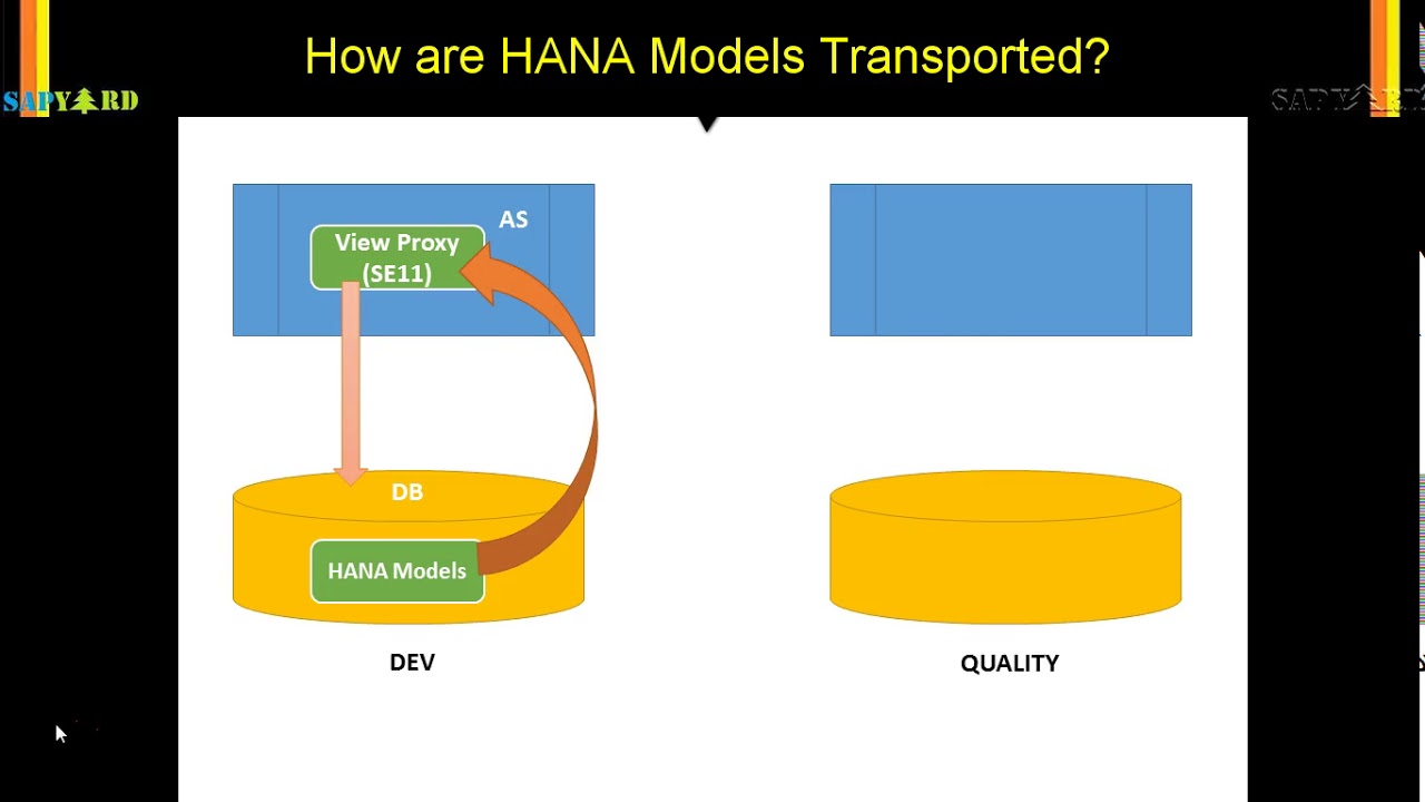 002 How are HANA Models Transported in SAP? - YouTube
