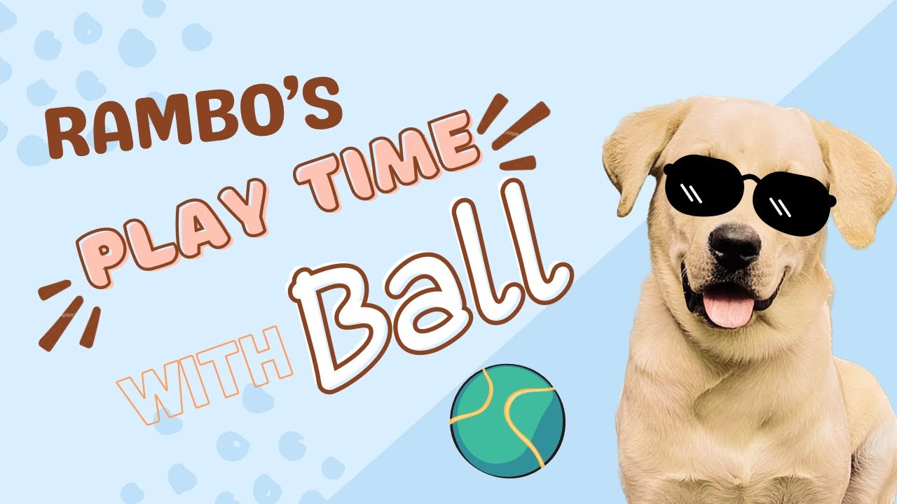 Rambo's Play Time With Ball - YouTube