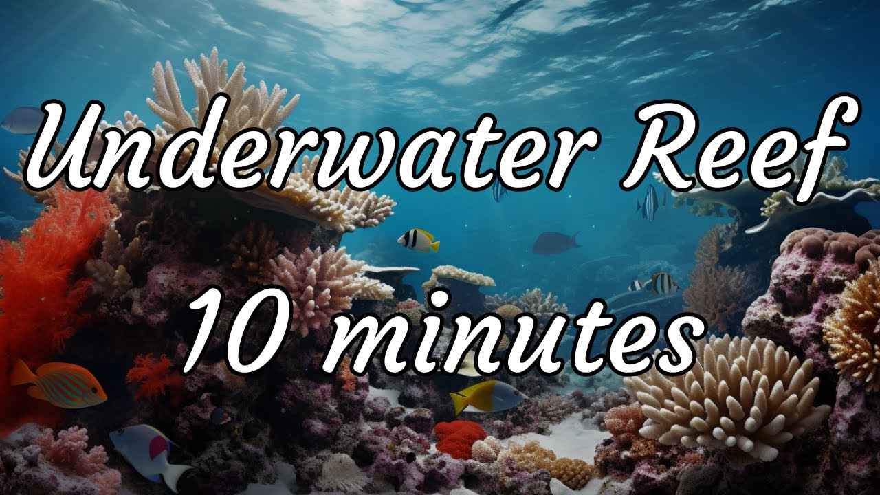 10-Minute Relaxing Underwater Ambience & Ocean Sounds - YouTube