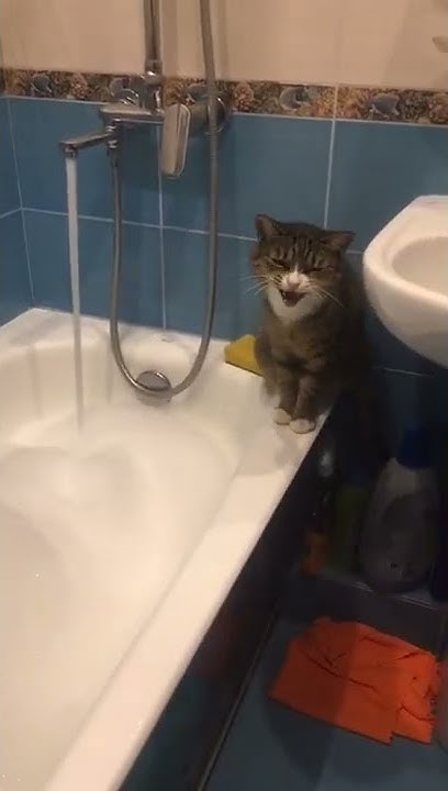 Мне нужно принять ванну, выпить чашечку кофе) - YouTube