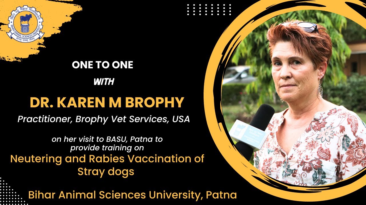 One to One with Dr. Karen M Brophy on Neutering and Rabies Vaccination ...
