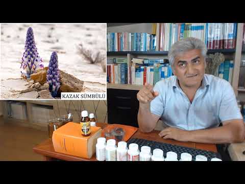 Cengiz Han'ın Yanından Ayırmadığı Bitki Kazak Sümbülü . Nerelerde Yetişir? Faydası Nelerdir?