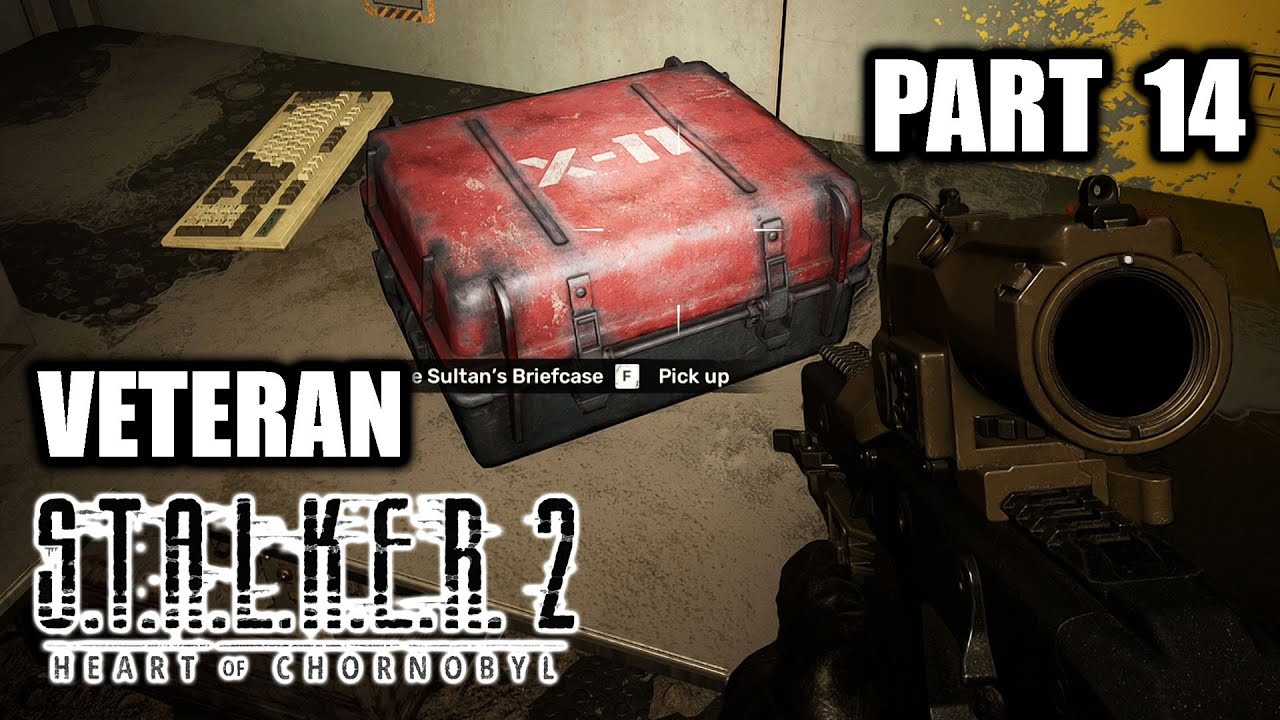 SULTAN’S BRIEFCASE – ☢️ S.T.A.L.K.E.R. 2 ☢️ STALKER 2 Heart of ...