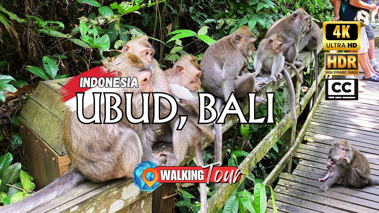 Ubud & Monkey Forest, Indonesia 🇮🇩 Nature Trails & Street Scenes | 4K ...