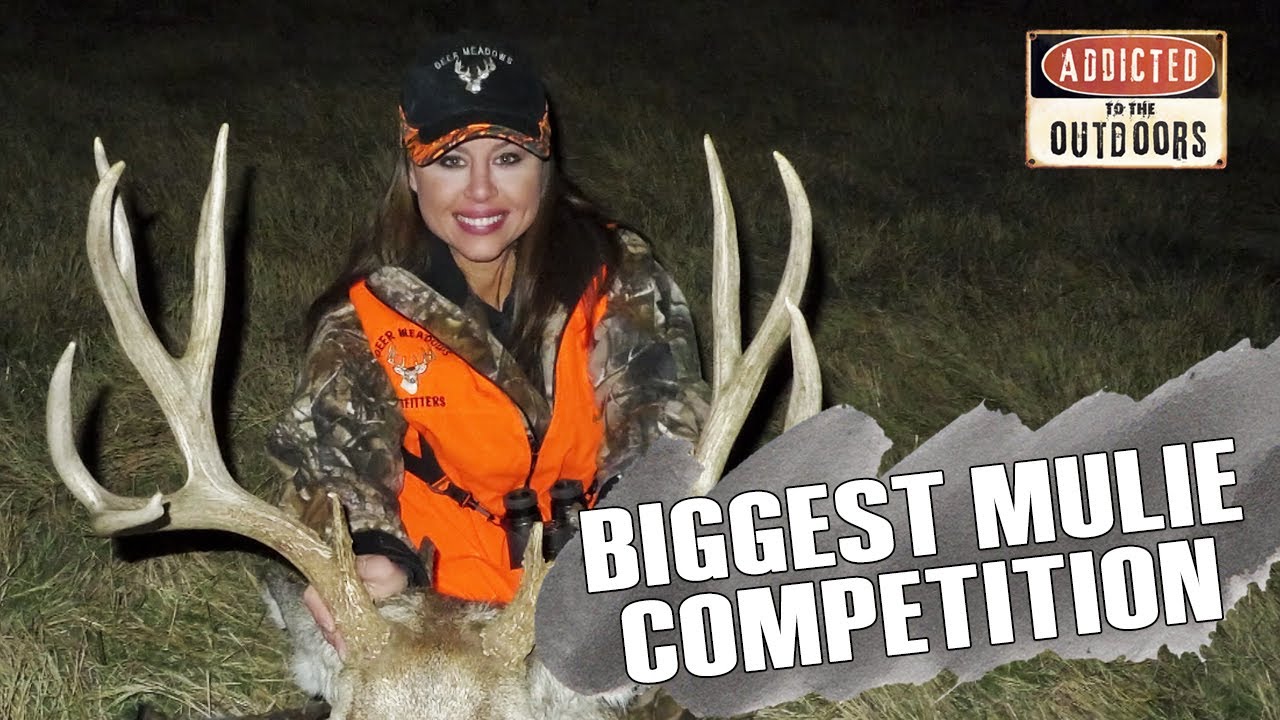 BIGGEST Mule Deer Competition - YouTube