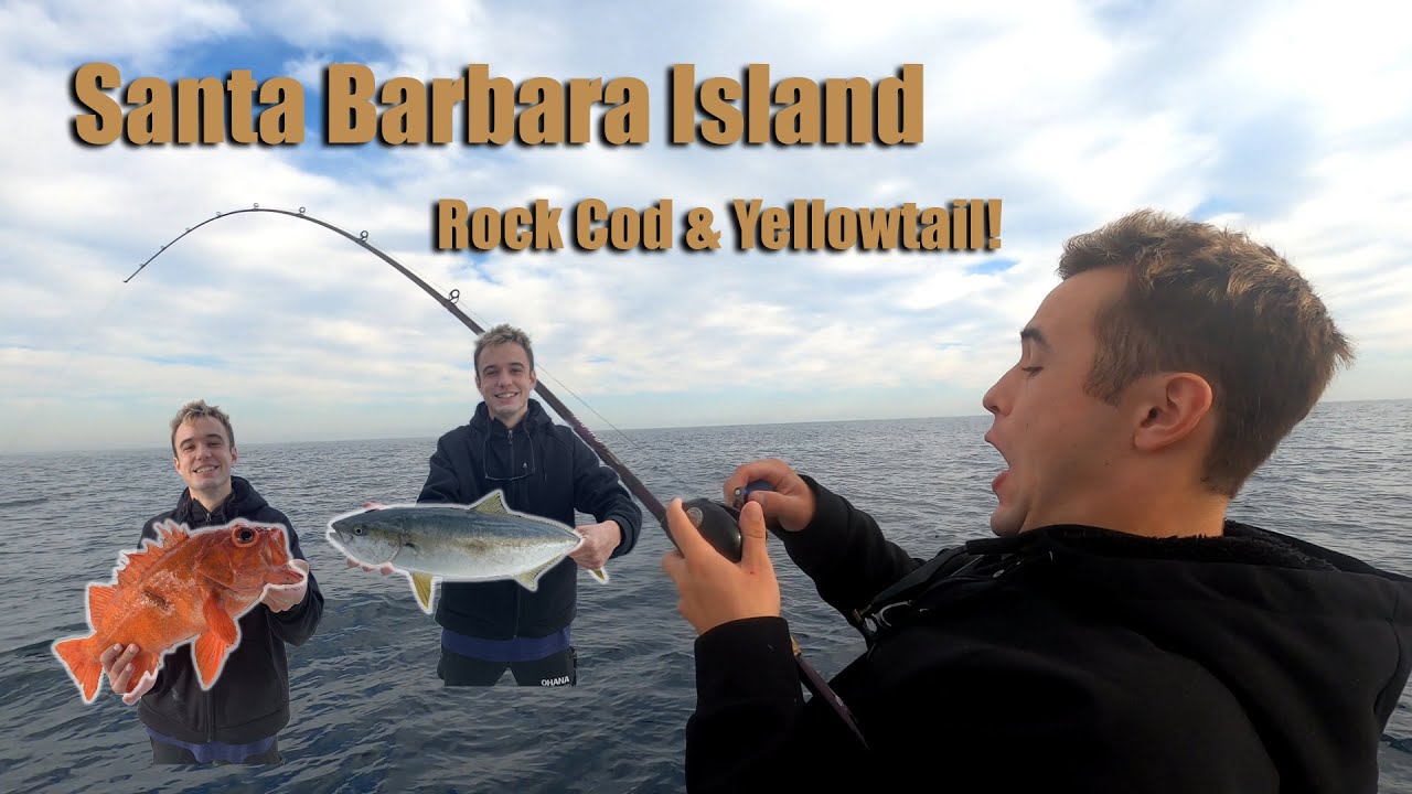 Fishing Santa Barbara Island YELLOWTAIL and BIG Rock Fish - YouTube