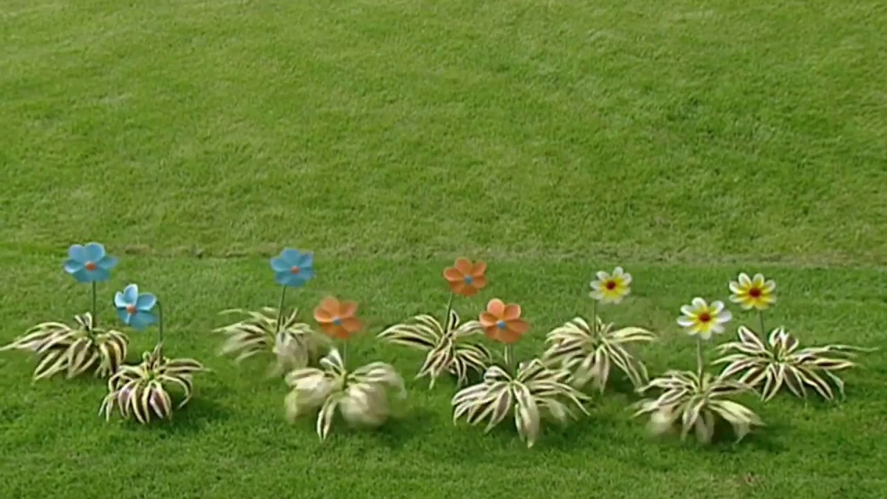 Talking Flower - What the F**k - YouTube