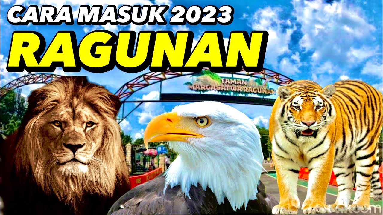 Cara Masuk Ragunan 2023 | Taman Margasatwa | Jakarta Selatan | Sumba Di ...