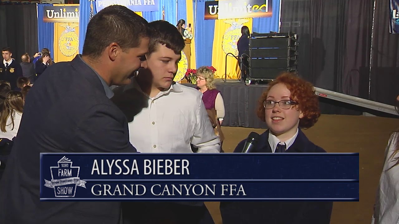 Owlett FFA Interview 2 - YouTube