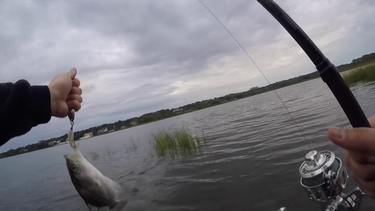 September North Shore Bay Fishing - YouTube