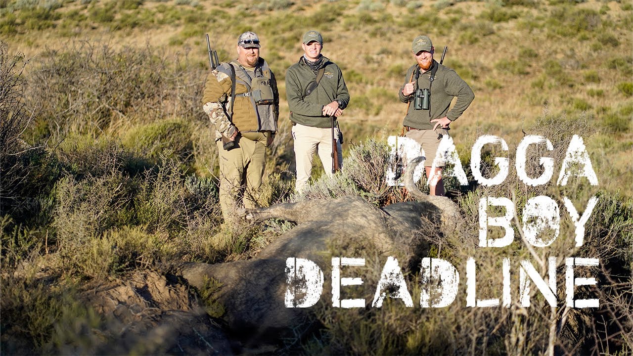 "Dagga Boy" Deadline | SUN AFRICA SAFARIS - YouTube