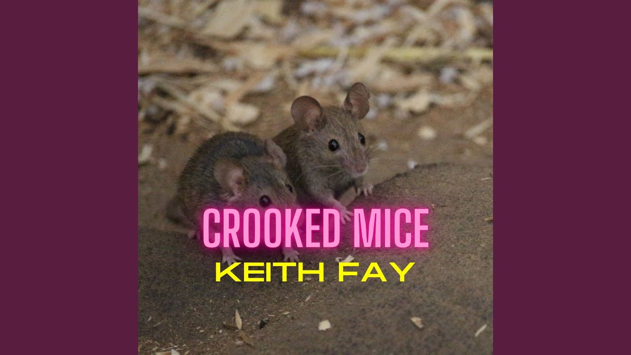 Crooked Mice - YouTube