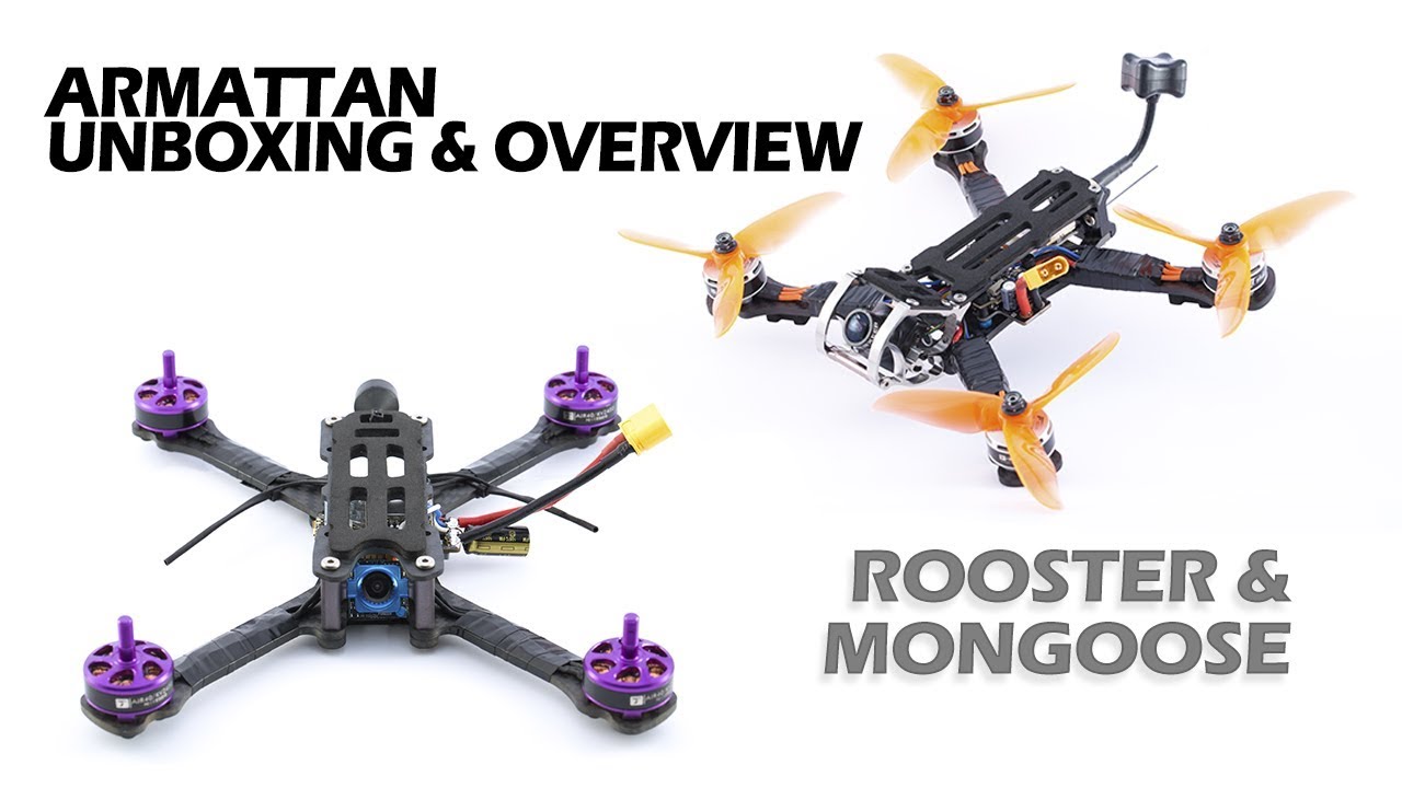 ARMATTAN ROOSTER & MONGOOSE : OVERVIEW - YouTube