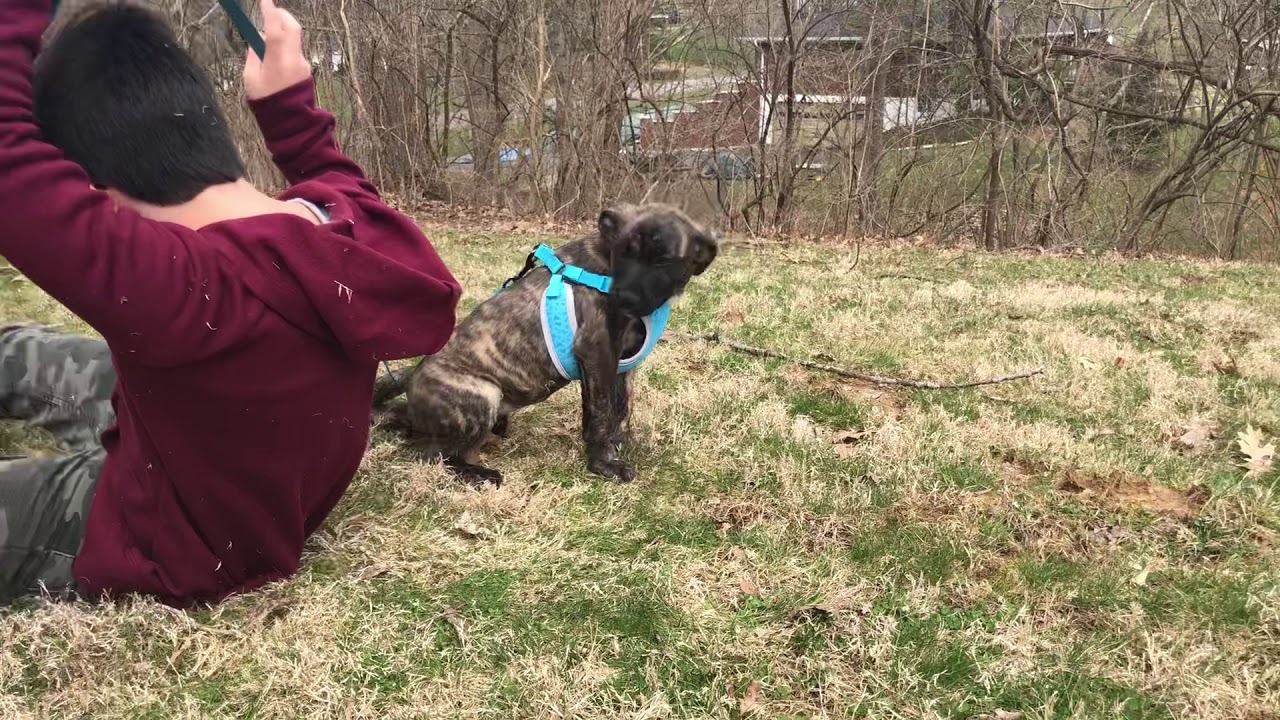 Matilda and Oliver on Day 1 - YouTube