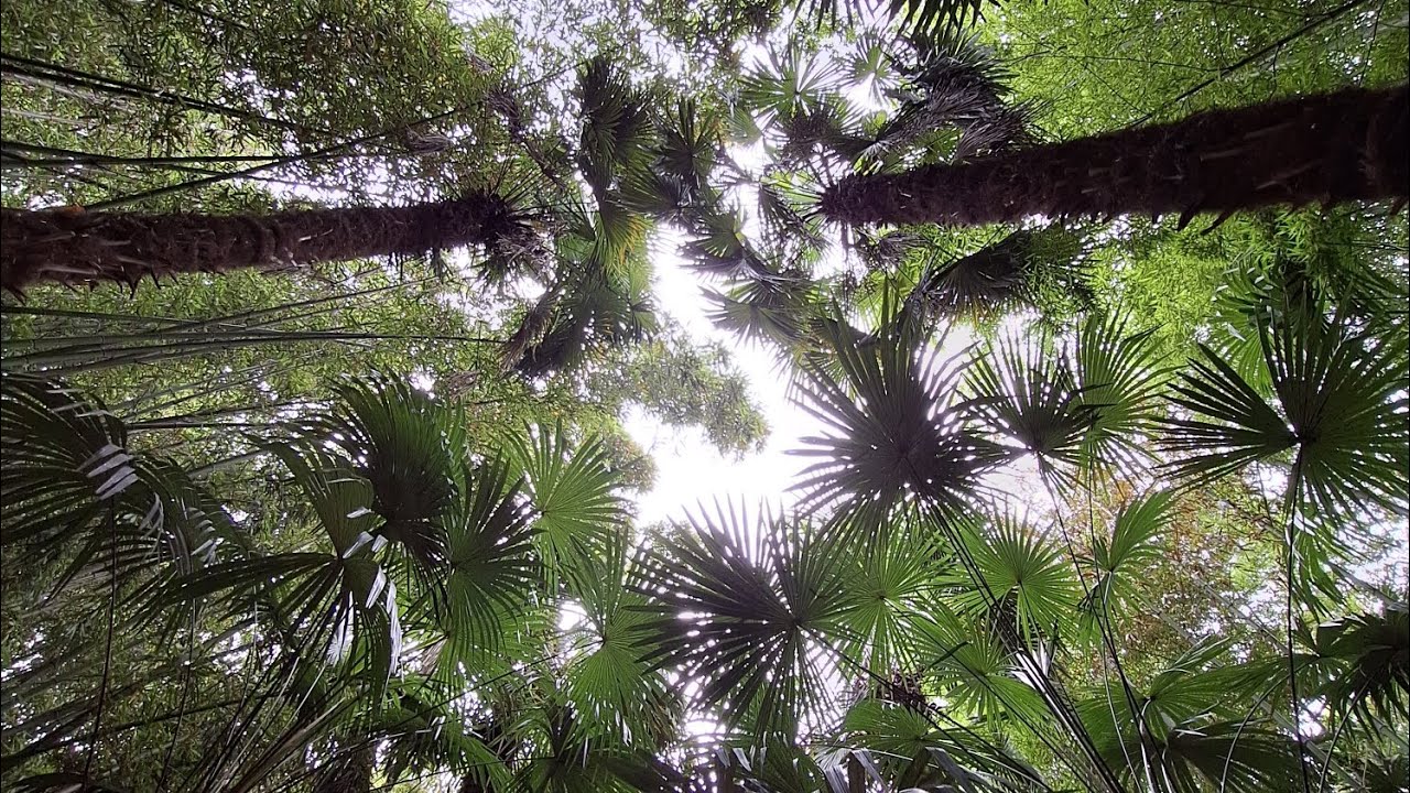 Outil de coaching : La méthode SMART 🌱 - YouTube