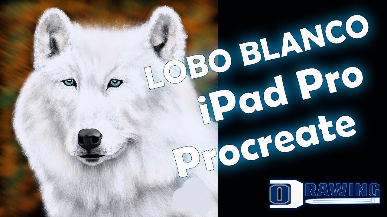 DIBUJANDO UN LOBO BLANCO 2021 | IPAD PRO | PROCREATE | 2021| WHITE WOLF ...