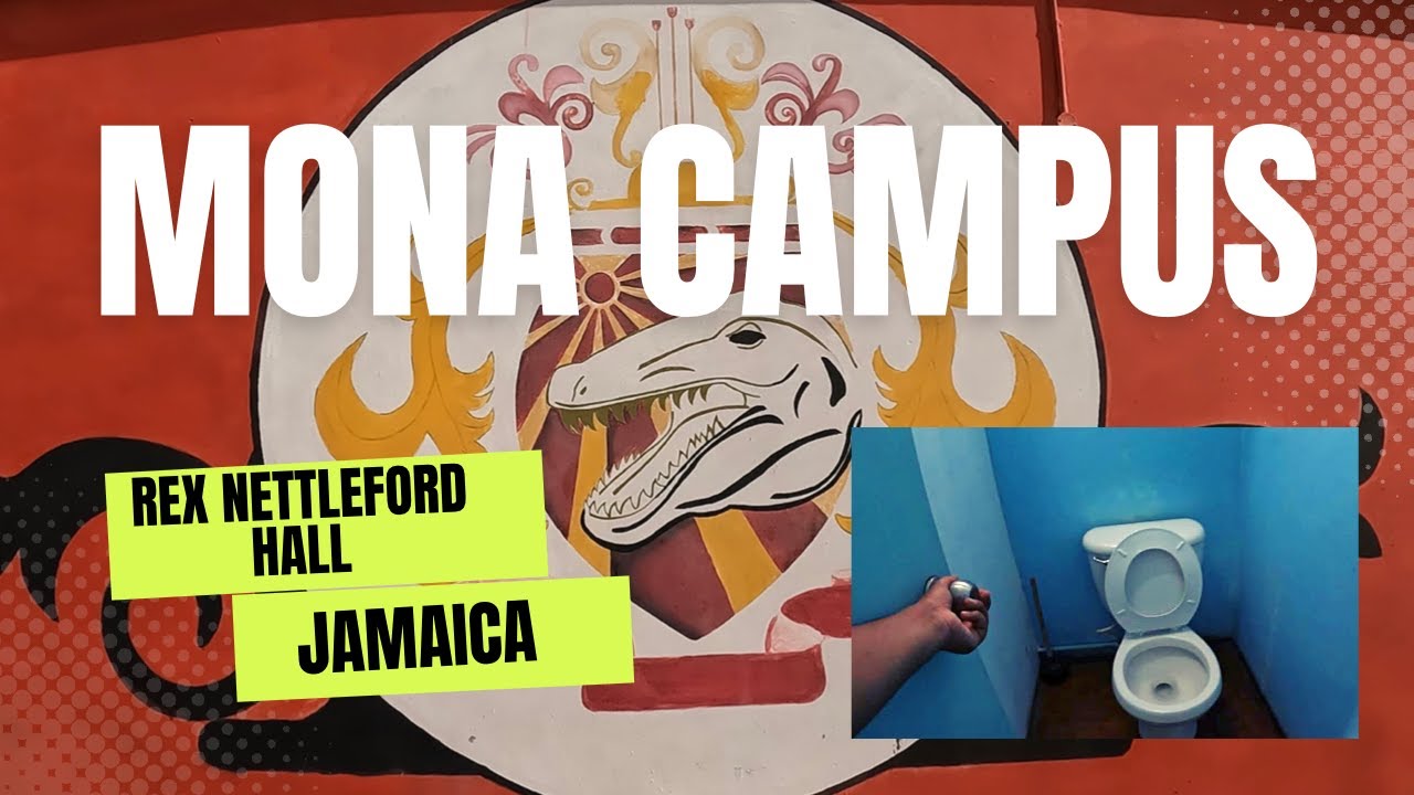 HOSTEL IN JAMAICA 🎪🇯🇲 In Mona campus in University Of West Indies # ...