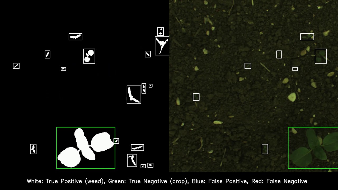 Weed and Crop Classification for Precision Agriculture using Pixel-Wise ...