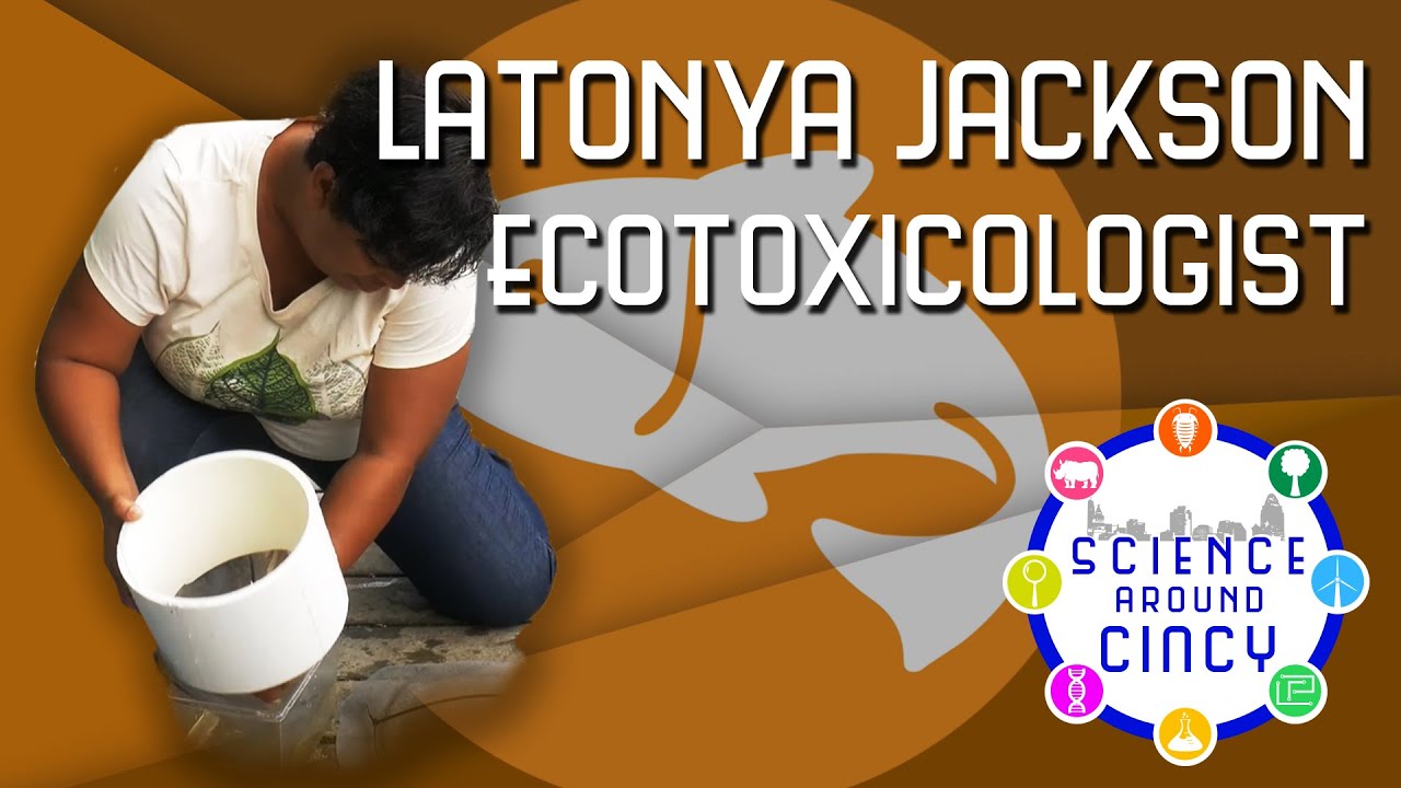 Science Around Cincy: LaTonya Jackson - Ecotoxicologist - YouTube