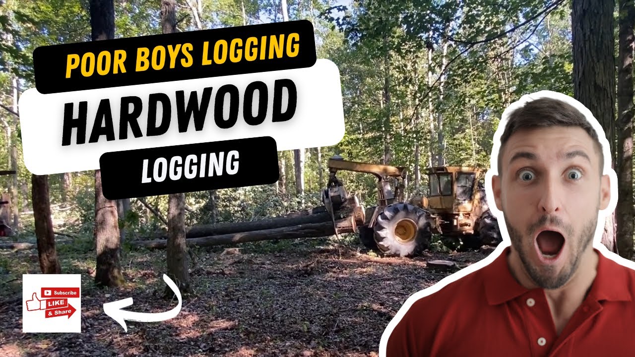 Poor Boys Logging - Hardwood Logging - YouTube