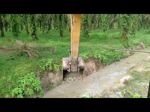 LANJUT KAN CUCI PARIT BLOK 25.A TINGGAL 300 METER LAGI - YouTube