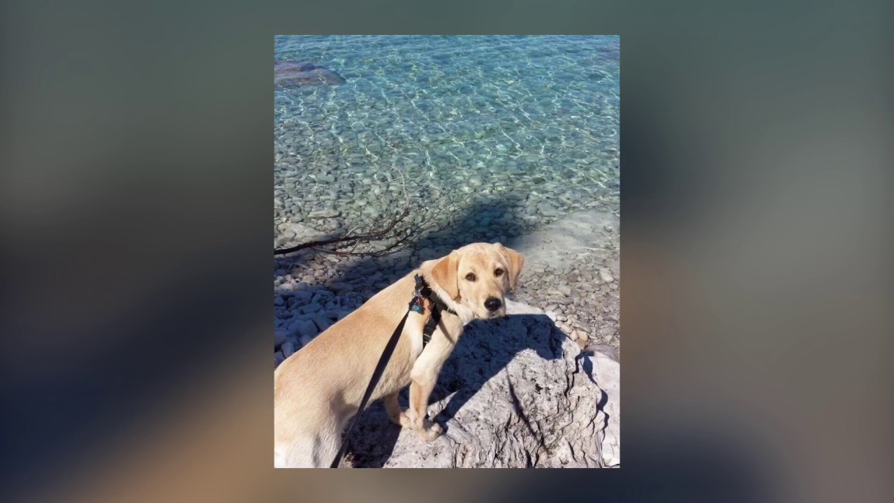 My little angel Elliot - YouTube