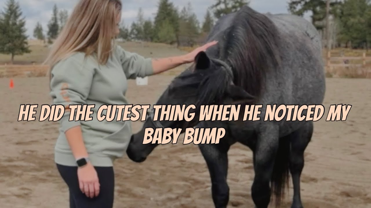 Visiting my gelding for the first time in a week - I was not expecting ...