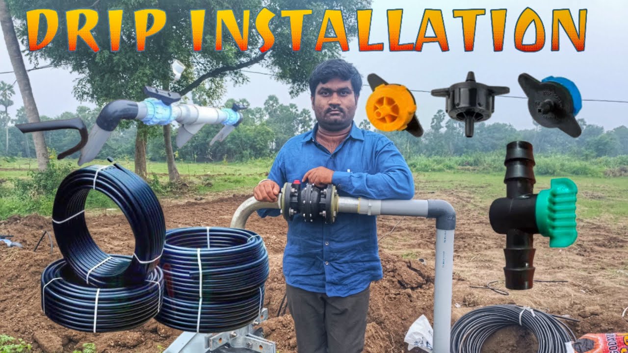 #DRIP INSTALLATION | #drip #dripinstallation #farming #dripirrigation # ...