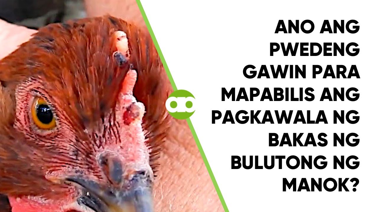Ano ang Pwedeng Gawin Para Mapabilis ang Pagkawala ng Bakas ng Bulutong ...