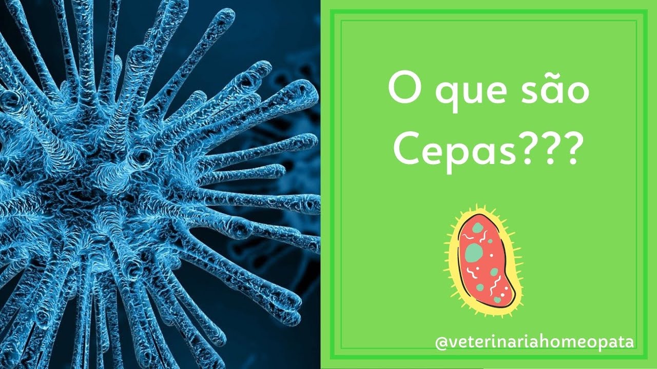 O que é essa cepa? - YouTube