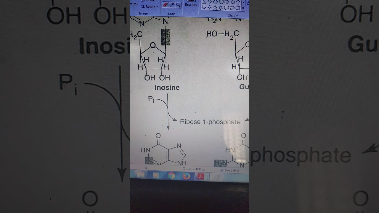 Synthesis of Uric Acid- Part 1 - YouTube