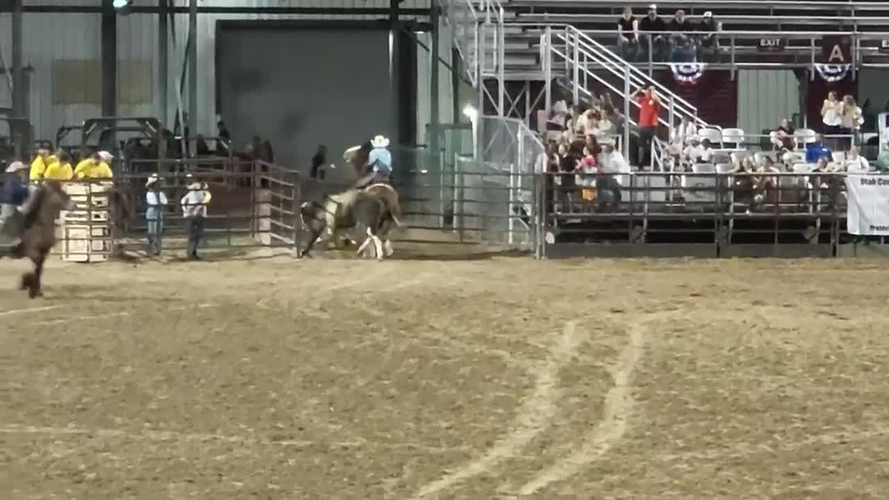 WATCH: Bull escapes rodeo arena at Utah County Fair - YouTube