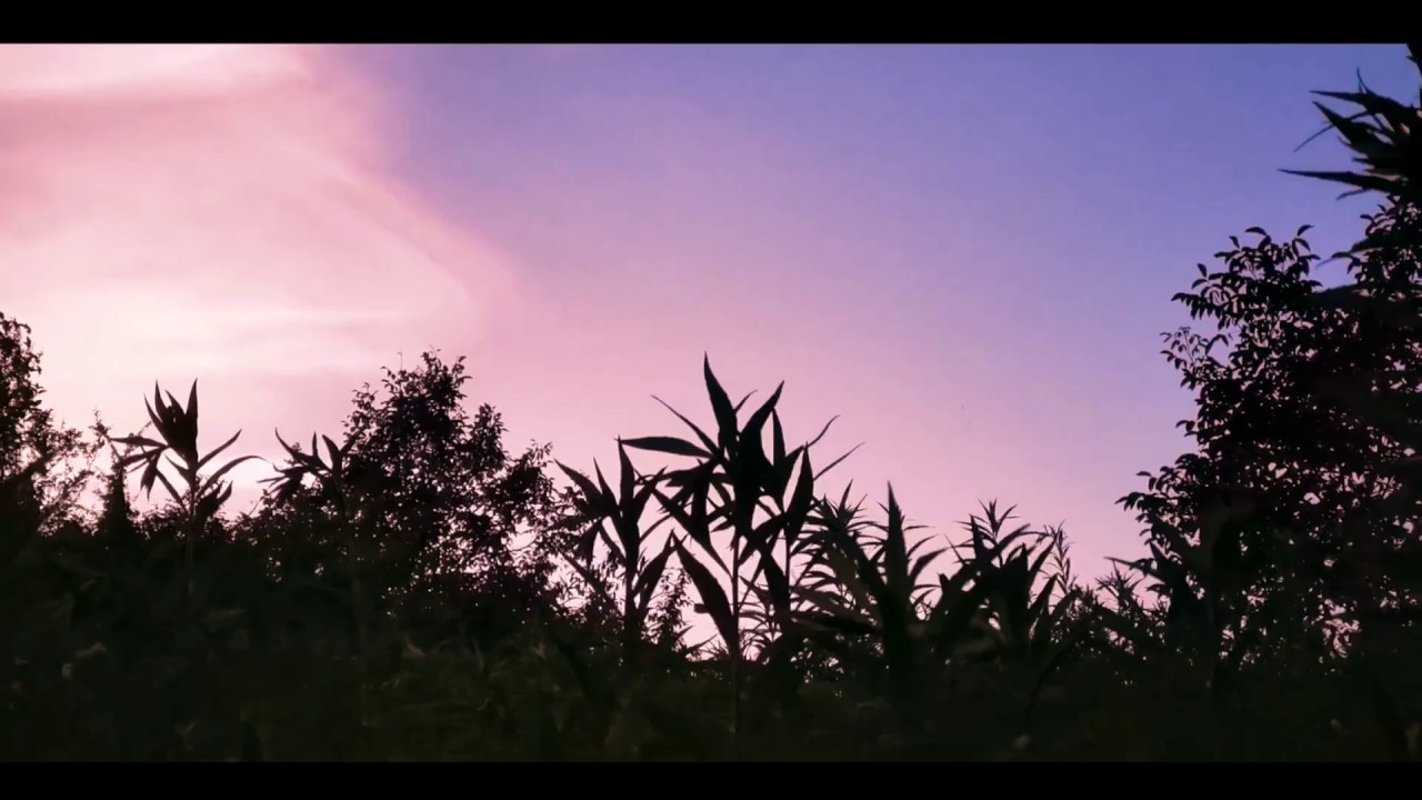 Sunset photography is sick - YouTube