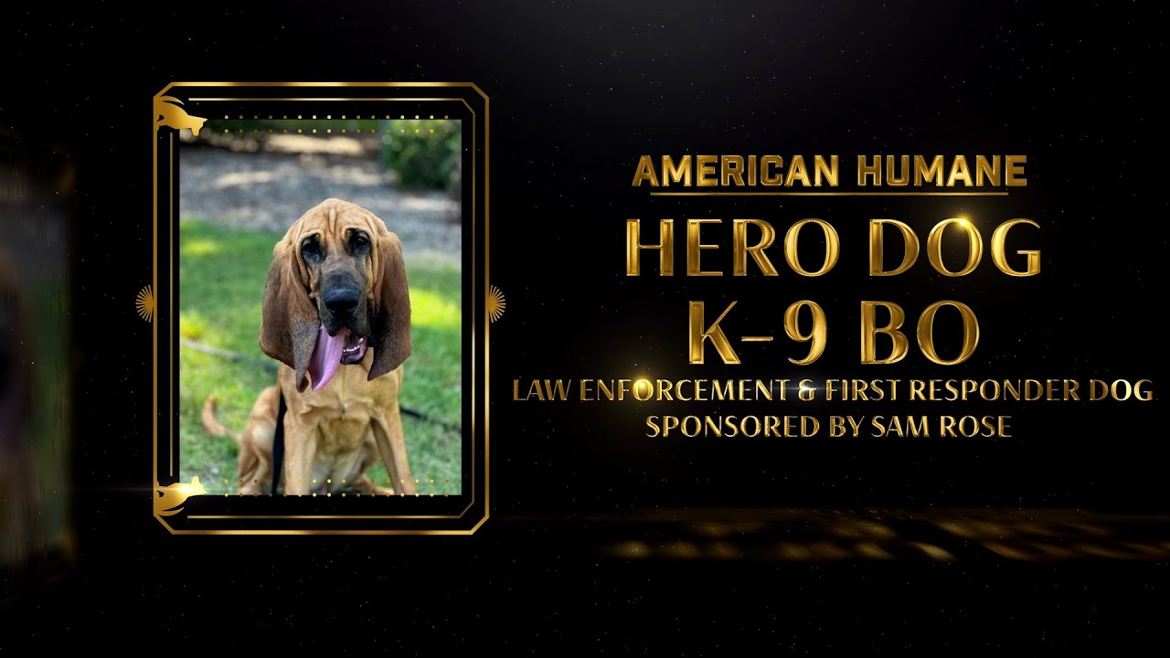 2024 Hero Dog Awards | Law Enforcement and First Responder Hero Dog Bo ...