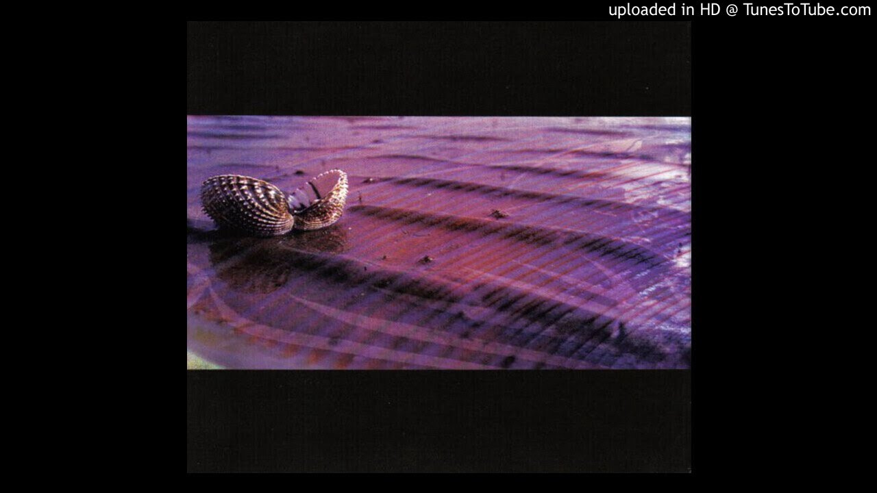 Aes Dana - Memory Shell (Lost Radio E-dit) [inre014] [2004] - YouTube