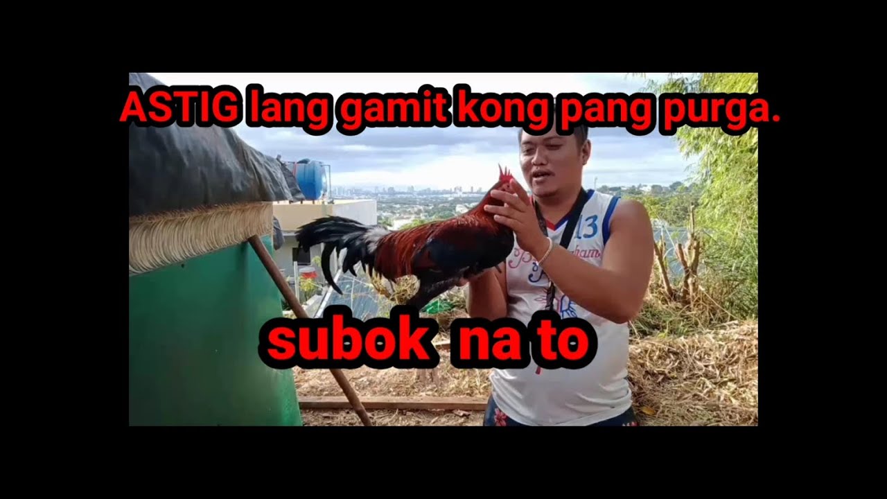 astig lang ginagamit kong oang purga sa mga manok namin... - YouTube