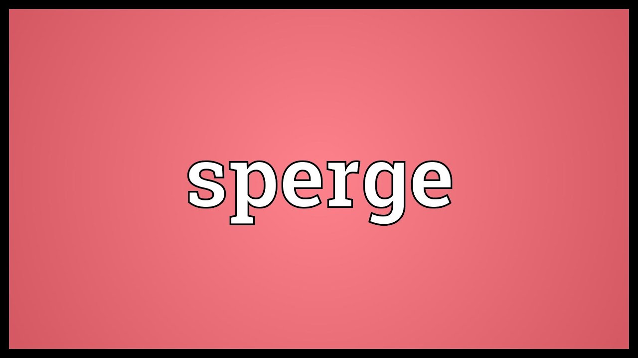 Sperge Meaning - YouTube