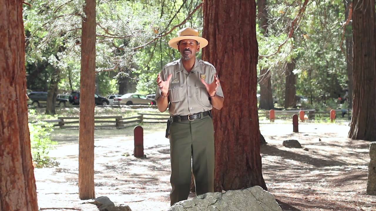 Yosemite: Learn About Galen Clark - YouTube