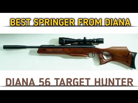 DIANA 56TH | BEST SPRINGER OF DIANA | TARGET HUNTER | HALAL HUNTERS 🥇 ...